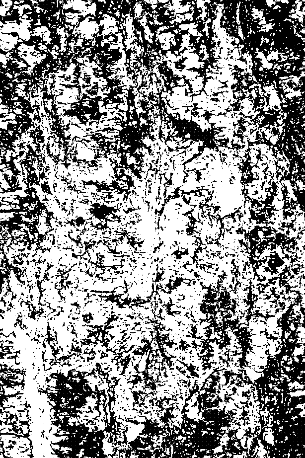 Bark Distortion
